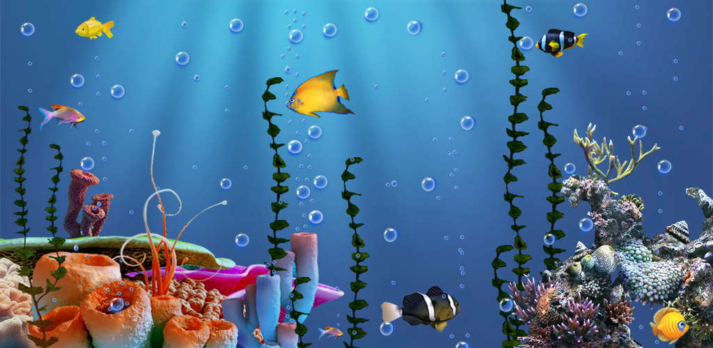 Gif Wallpaper Animated Fish