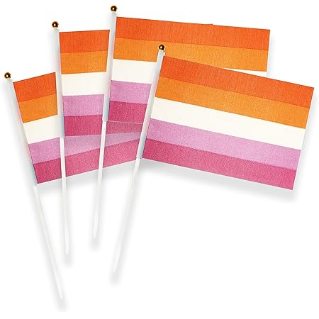 Amazon.com : TSMD Sunset Lesbian Les Pride Stick Flag Small Mini Hand ...