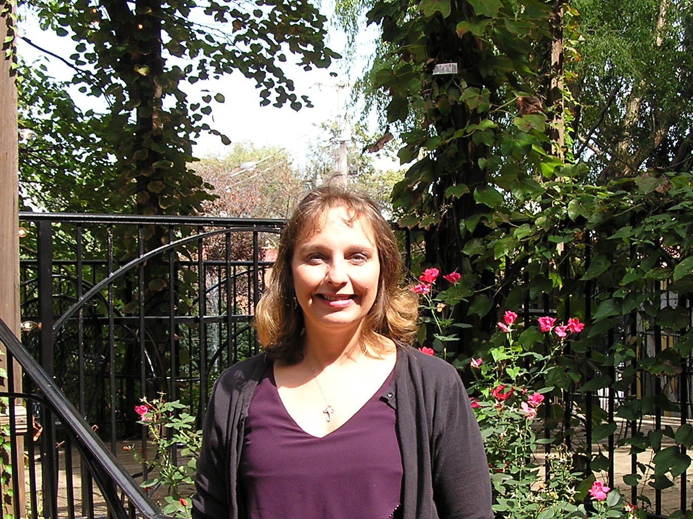 Amazon.com: Allie Harrison: books, biography, latest update