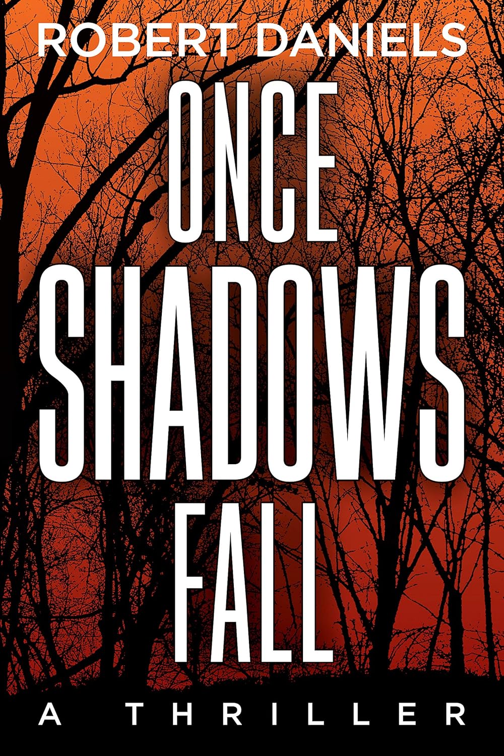 Amazon.com: Once Shadows Fall: A Jack Kale and Beth Sturgis Mystery ...