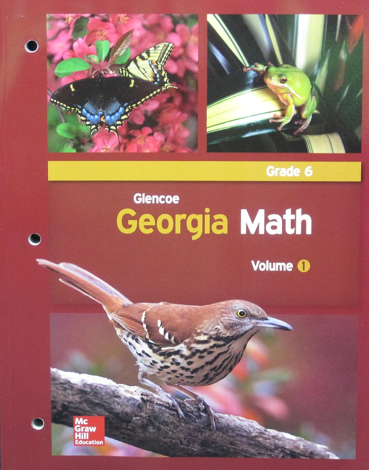 Glencoe Georgia Math, Grade 6, Volume 1: Glencoe: 9780076654833: Amazon ...