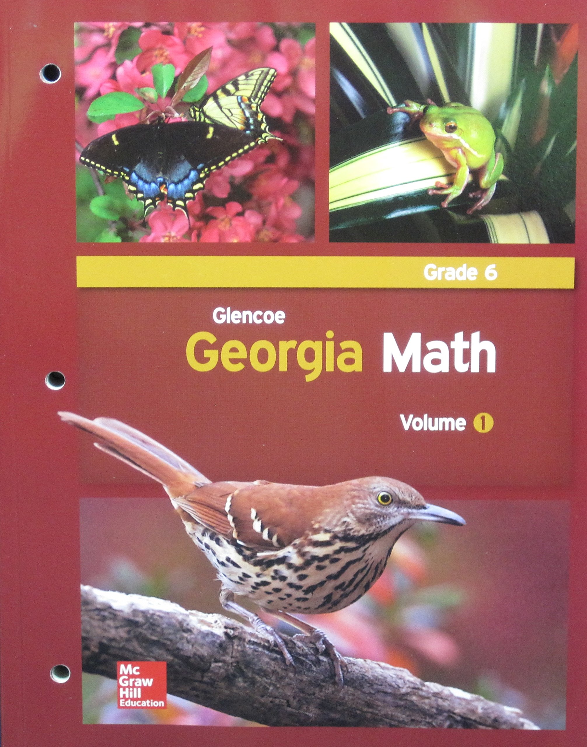 Glencoe Georgia Math, Grade 6, Volume 1: Glencoe: 9780076654833: Amazon ...