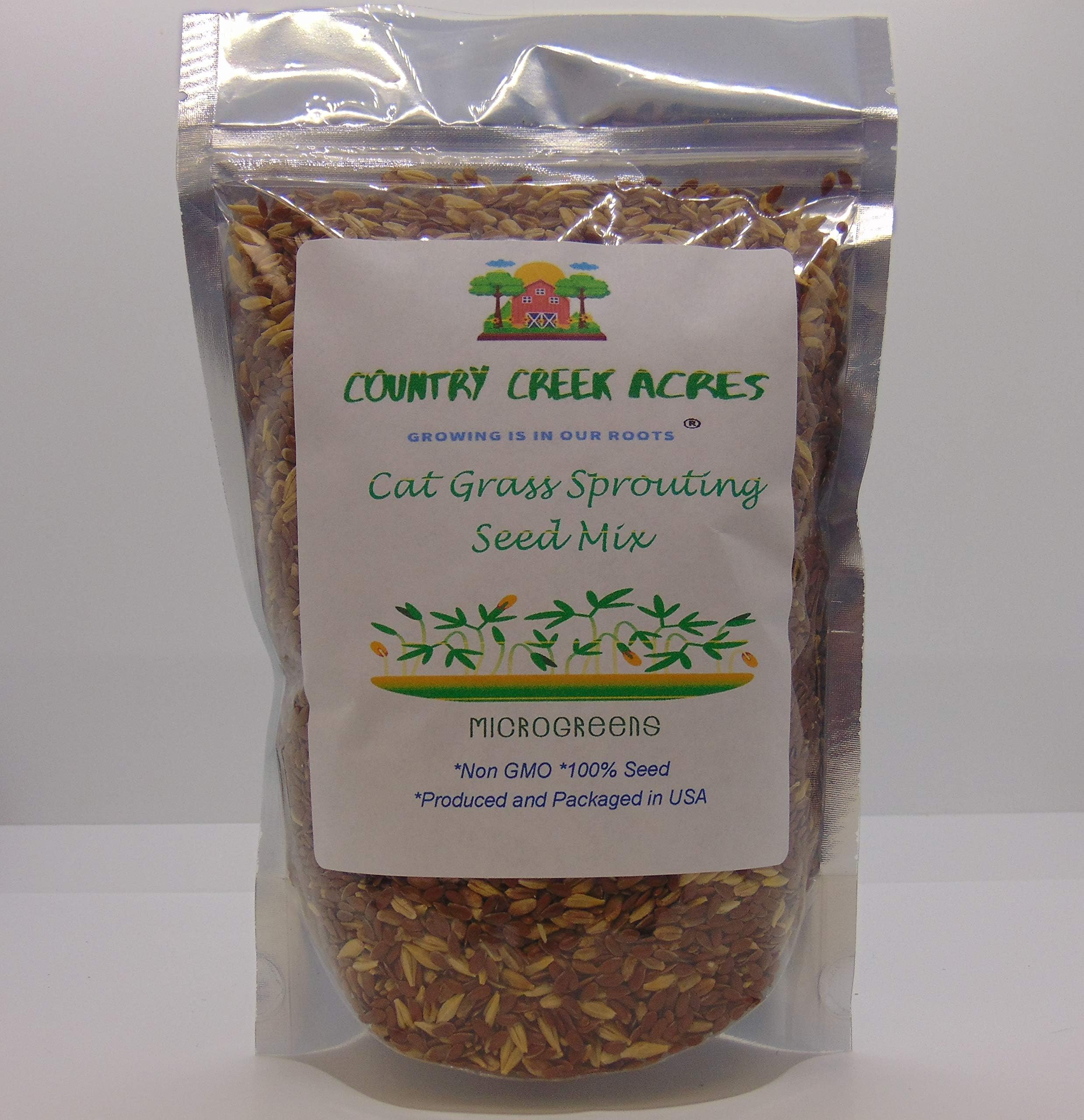 Amazon.com: Rex Products,INC Oat Seeds 1 Lb (3000+ Seeds)- Cat,Dog,Pets ...