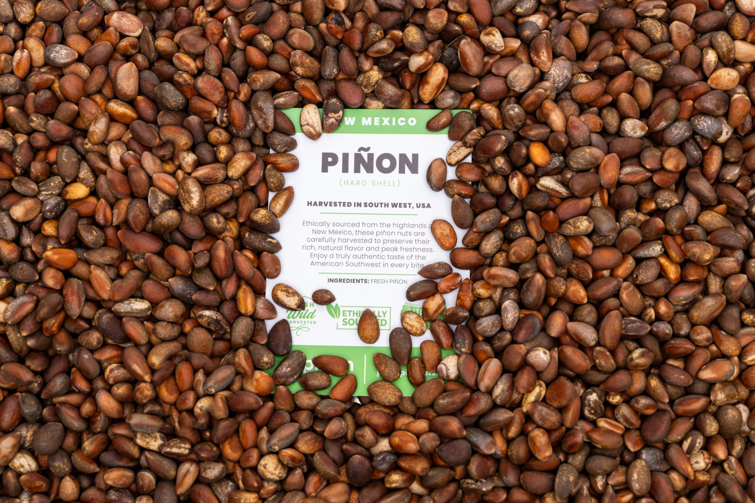 Amazon.com : New Mexico Piñon 1 lb (16 oz) Raw, Inshell : Grocery ...