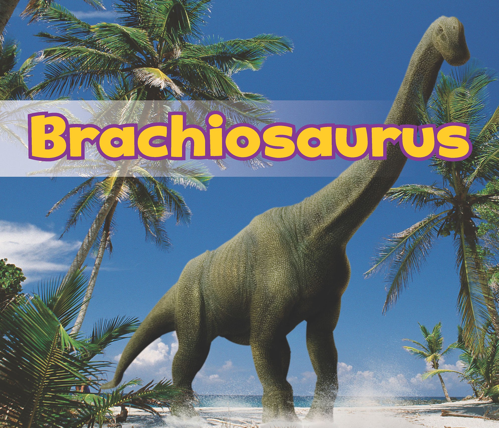 Brachiosaurus (All about Dinosaurs): Nunn, Daniel: 9781484602034 ...