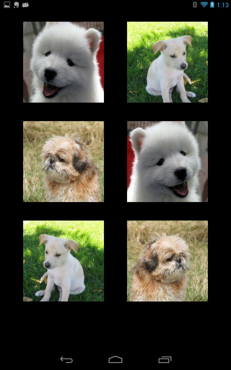 Hidden Object: Dogs - App on Amazon Appstore