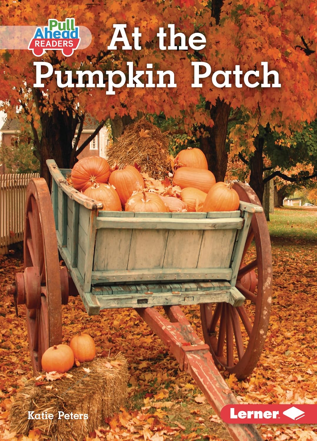 At the Pumpkin Patch (Let's Look at Fall (Pull Ahead Readers ...