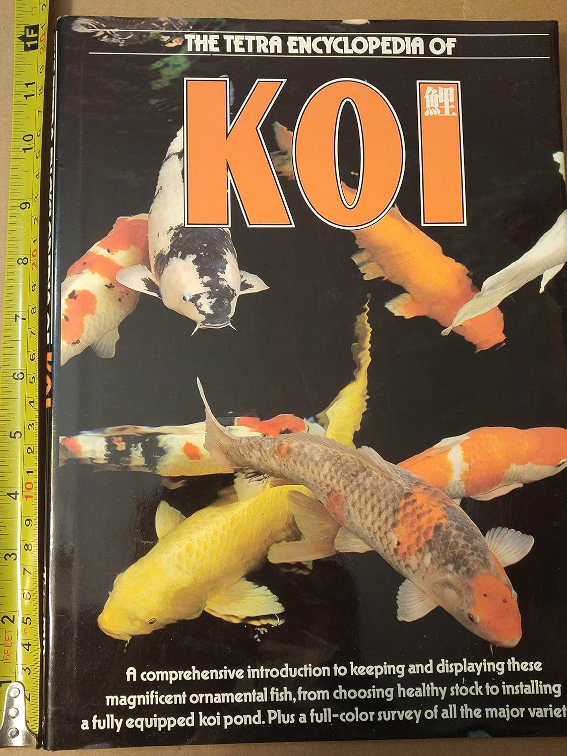 The Tetra Encyclopedia of Koi: Tetra Press: 9781564651457: Amazon.com ...