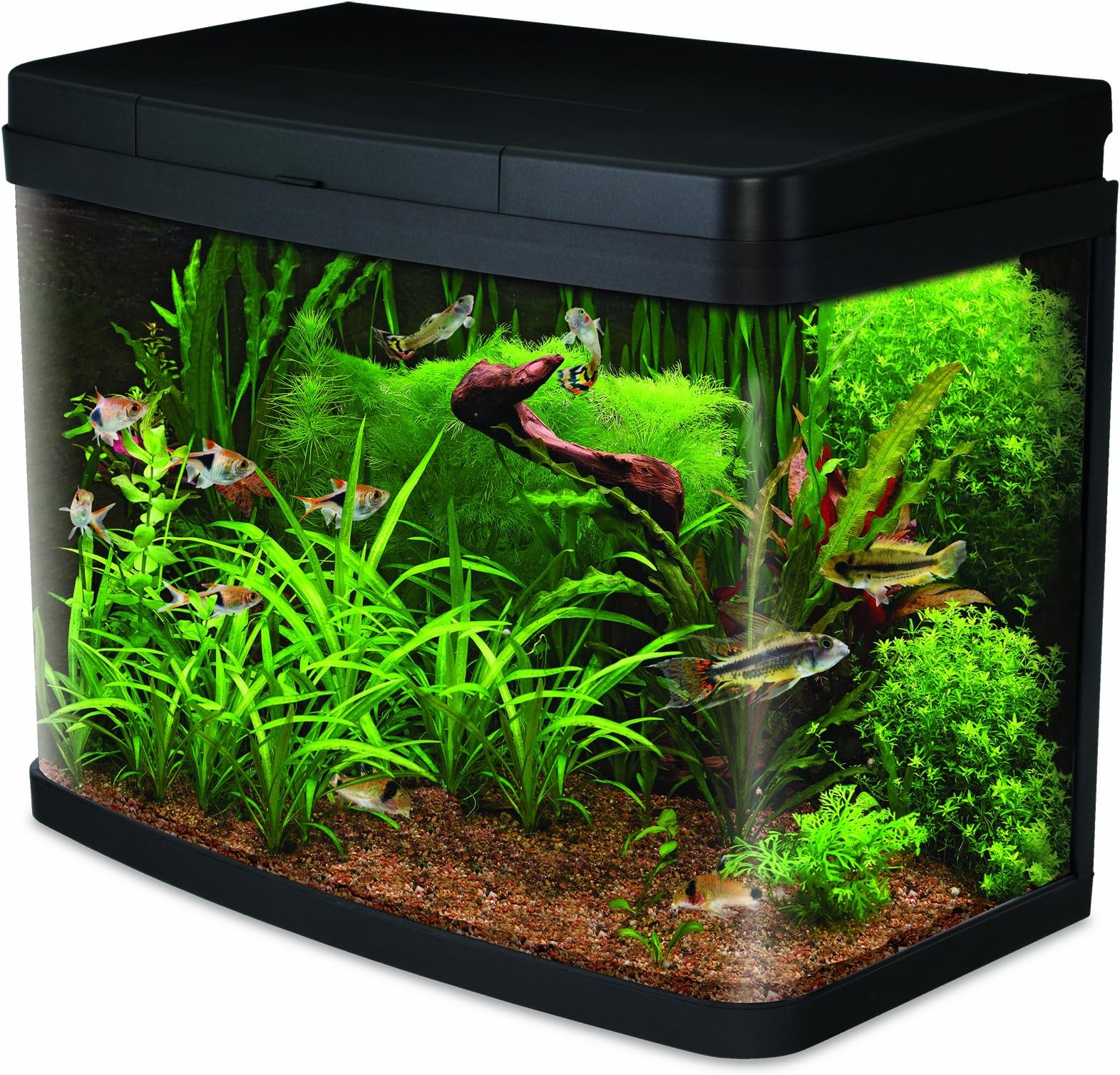 Interpet Insight Glass Aquarium Fish Tank Starter Kit, with LED Lights ...