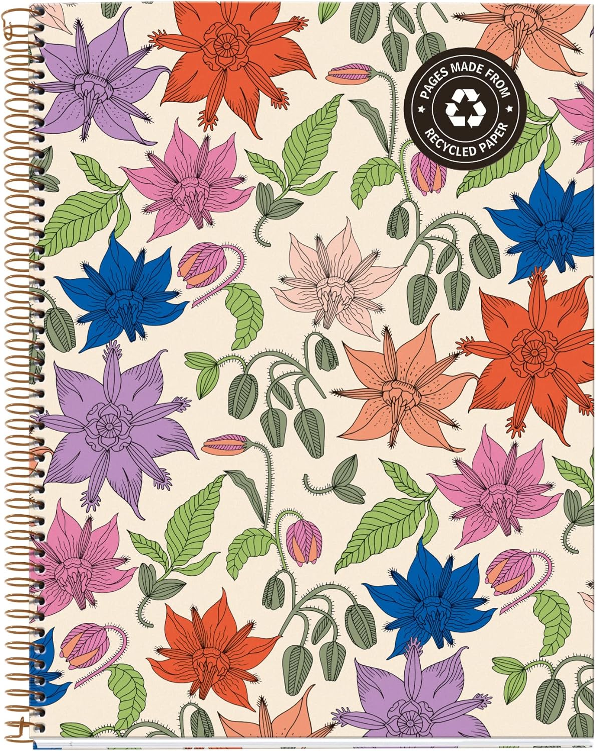 Amazon.com : Miquelrius - A4 Recycled Notebook - 4 Colour Stripes ...