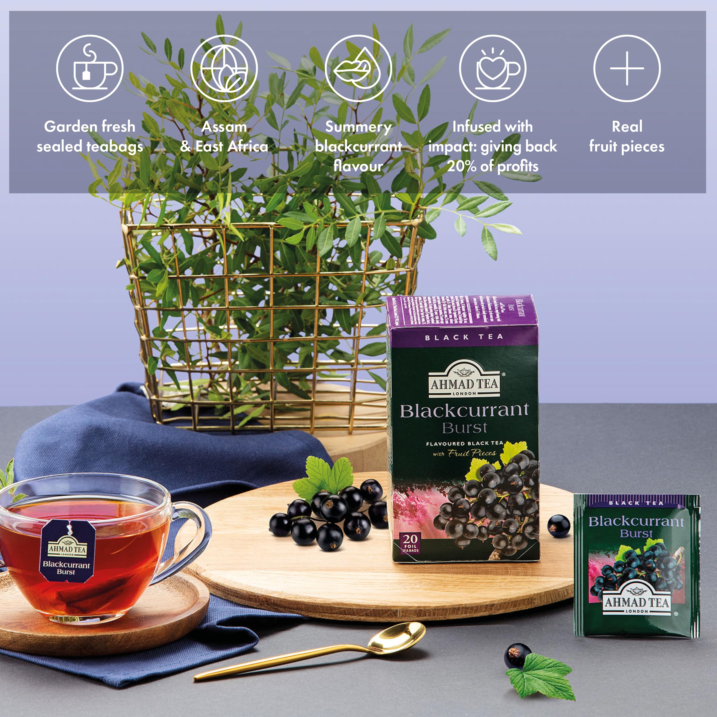 Amazon.com : Ahmad Tea Blackcurrant Burst Black Tea, 20-Count Boxes ...