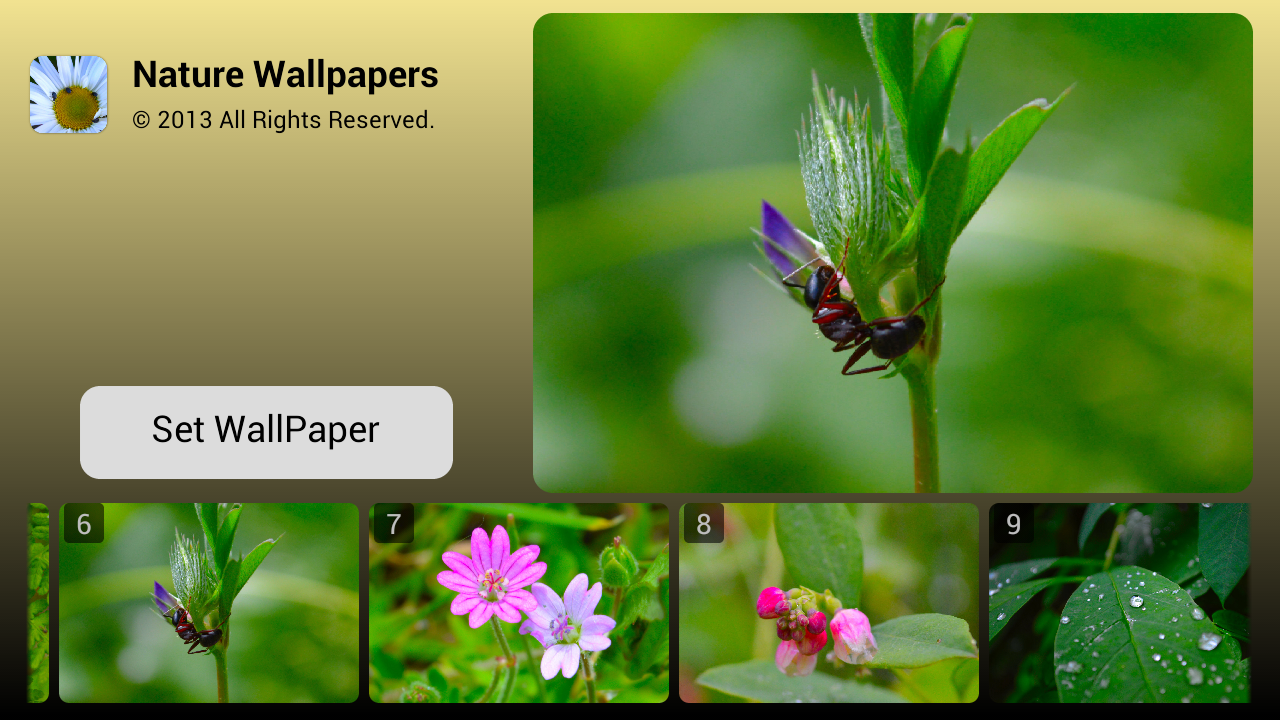 Nature Wallpapers HD Vol. 1 - App on Amazon Appstore
