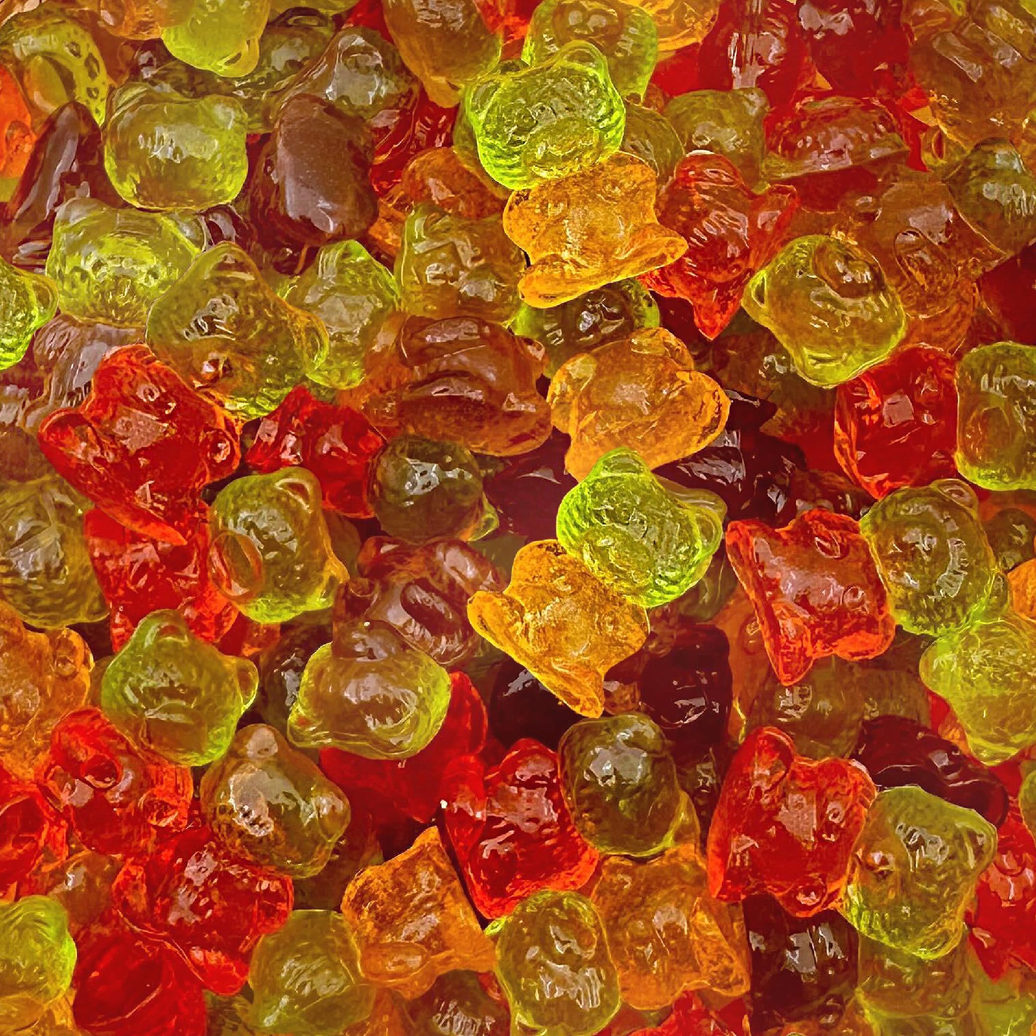 Amazon.com: Gourmet Mega Fruity Gummi Bear Mix- Gummy Bear Bulk Sizes ...