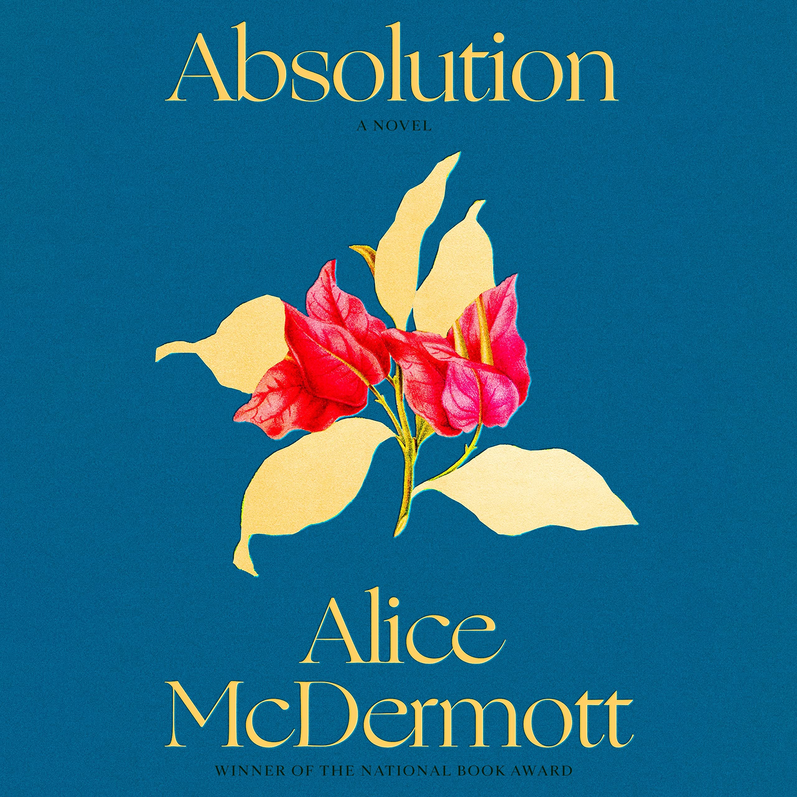 Absolution: A Novel: McDermott, Alice, Vilinsky, Jesse, Kenney, Rachel ...