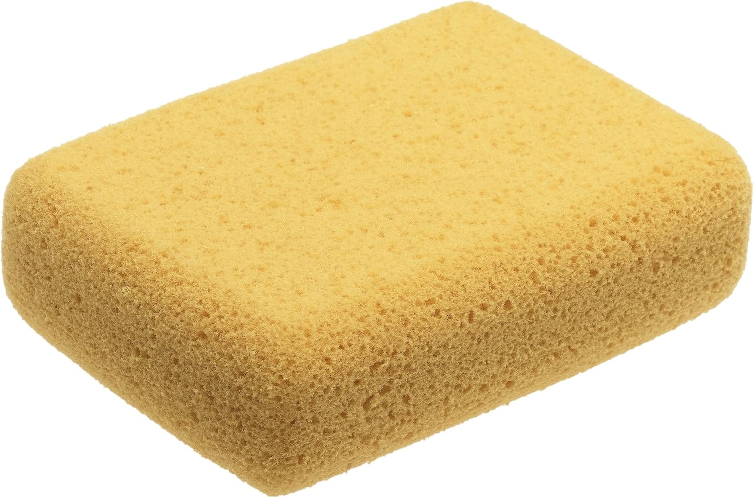 Sponge : Amazon.ca: Tools & Home Improvement