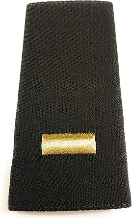 Amazon.com: Insignia Depot US Army AGSU LARGE Epaulet - Second ...