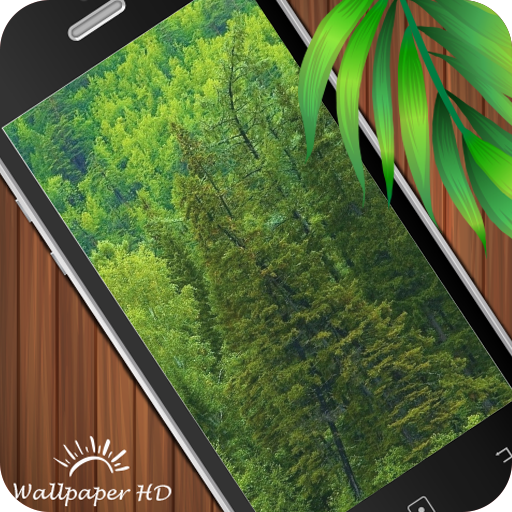 Forest Wallpaper HD - App on Amazon Appstore