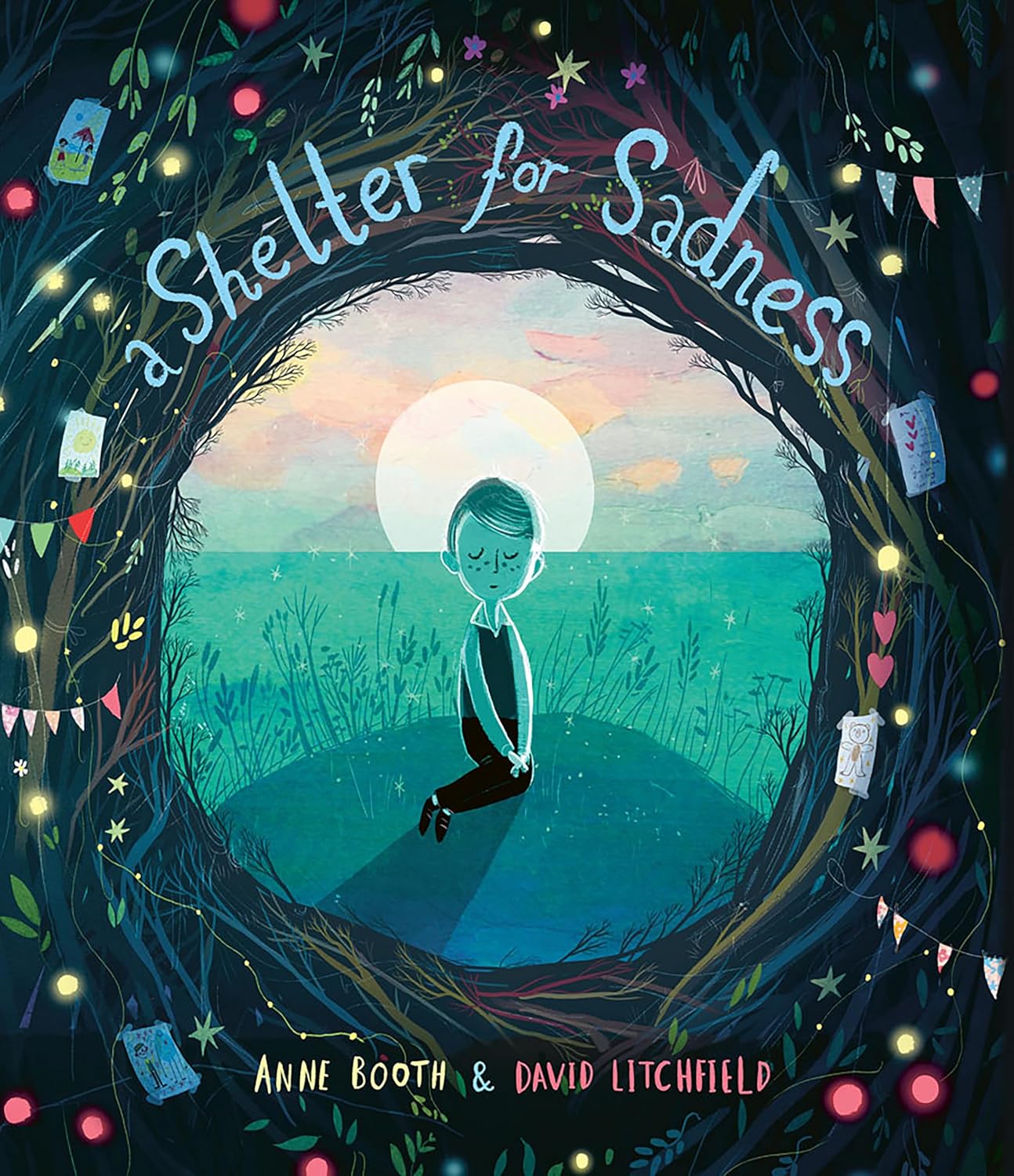 A Shelter for Sadness: Booth, Anne, Litchfield, David: 9781682638514 ...