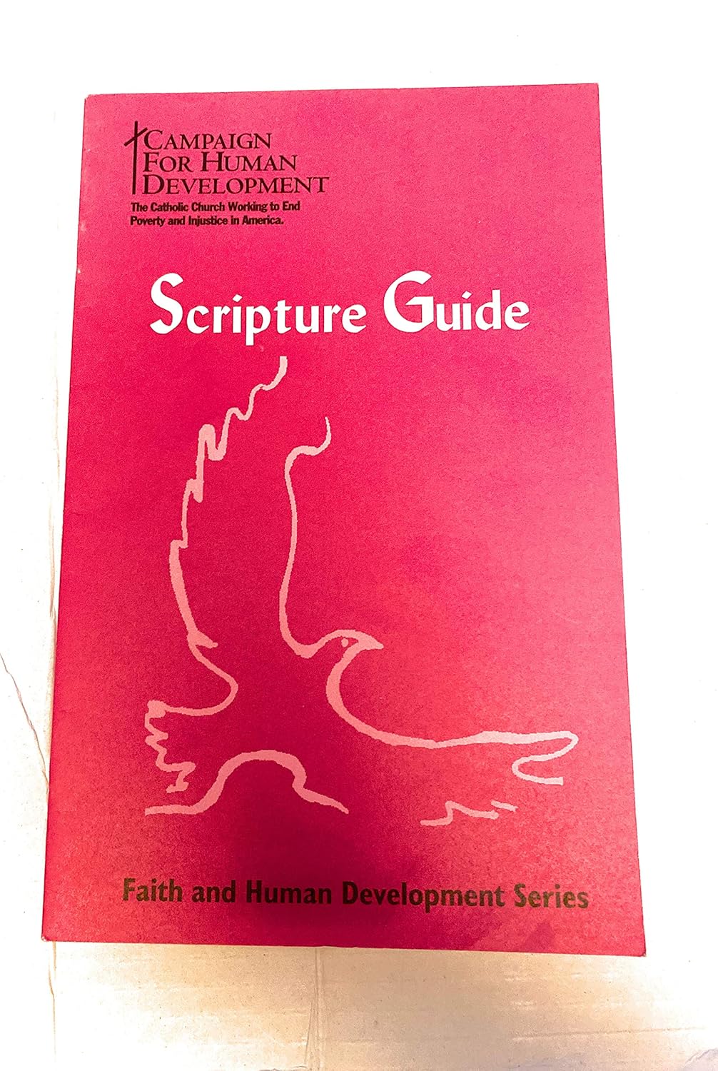 Scripture Guide: USCCB: 9781574552294: Amazon.com: Books