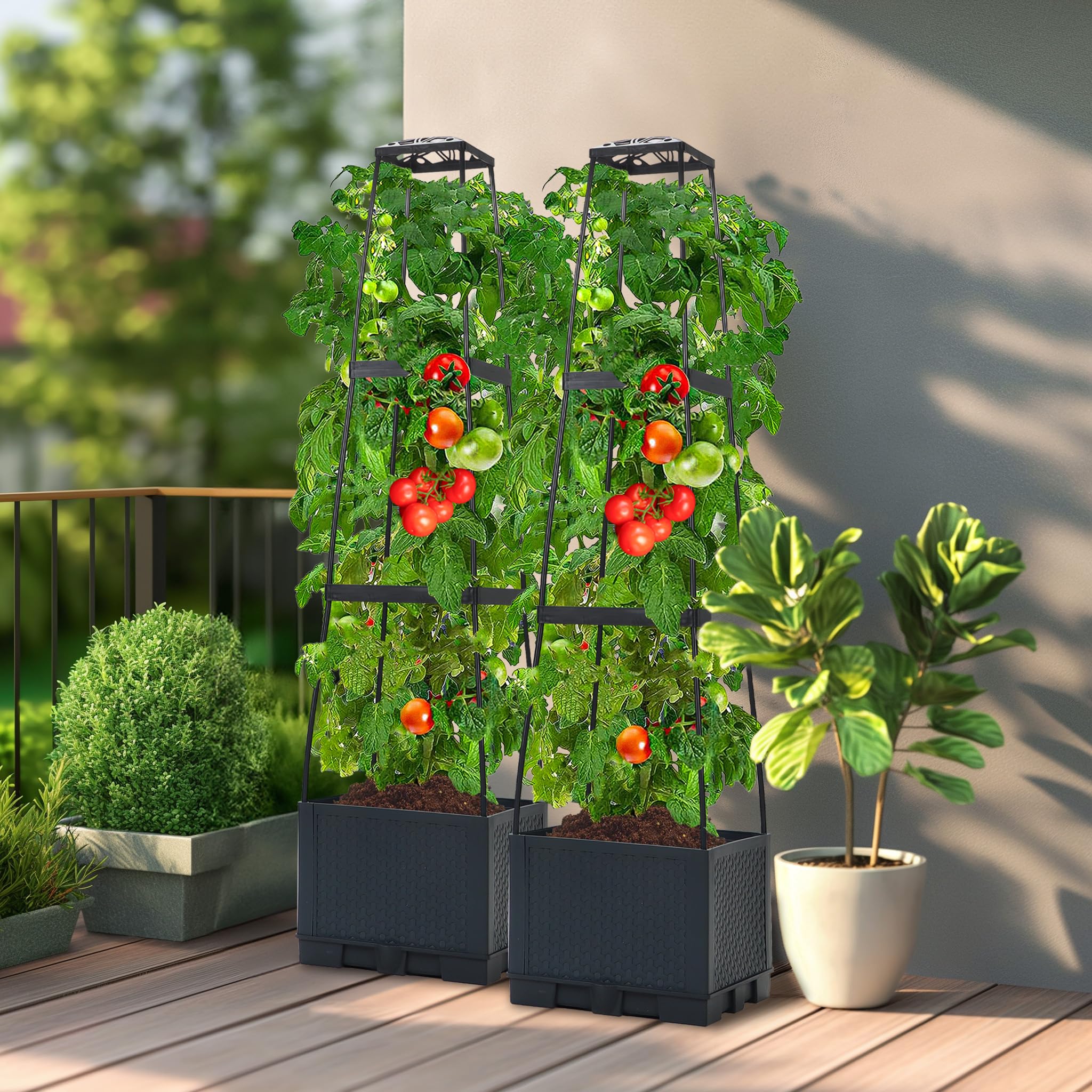 Easy DIY Tomato Cage Plant Stand