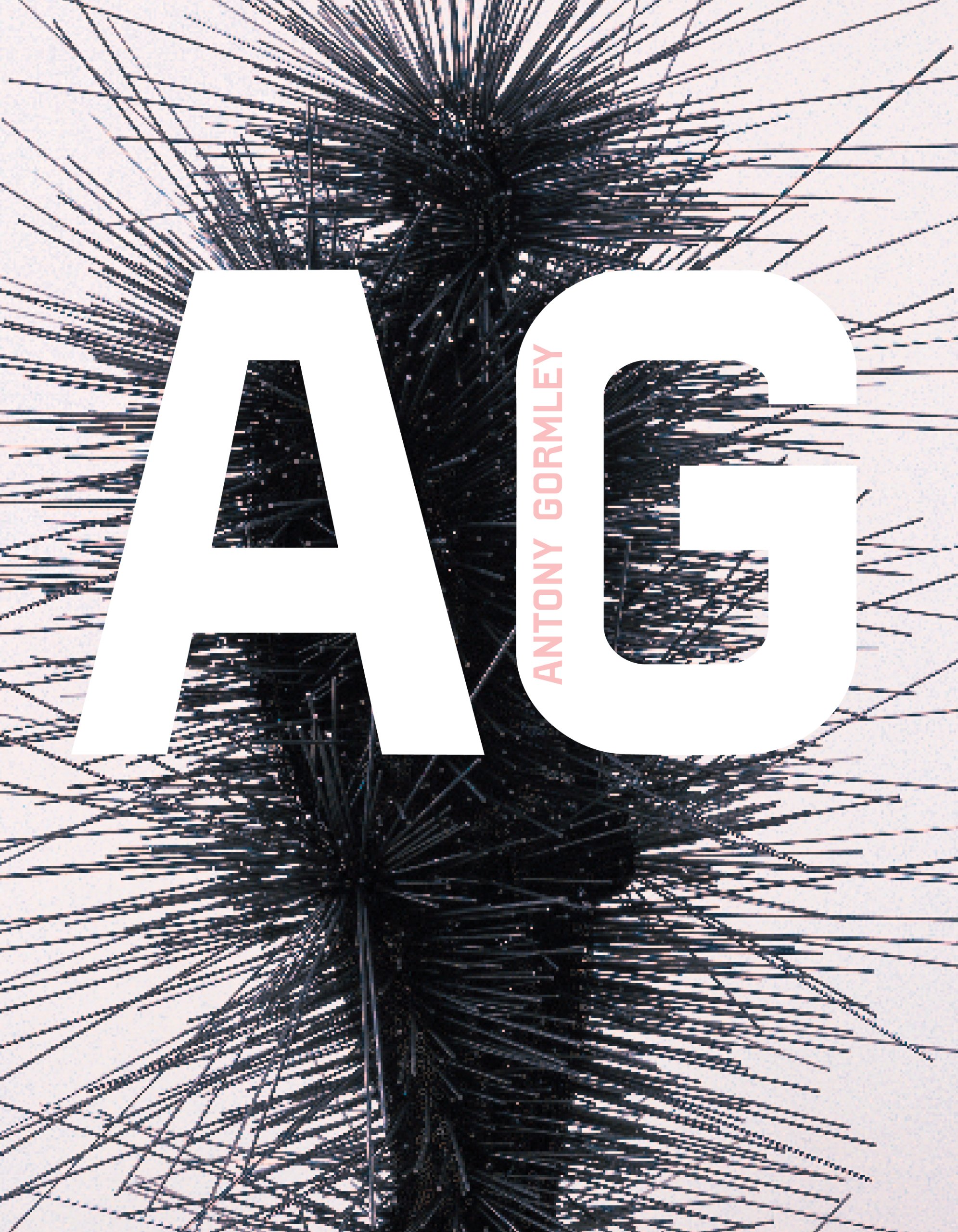 Amazon.com: Tate Modern Artists: Antony Gormley: 9781854377975: Caiger ...