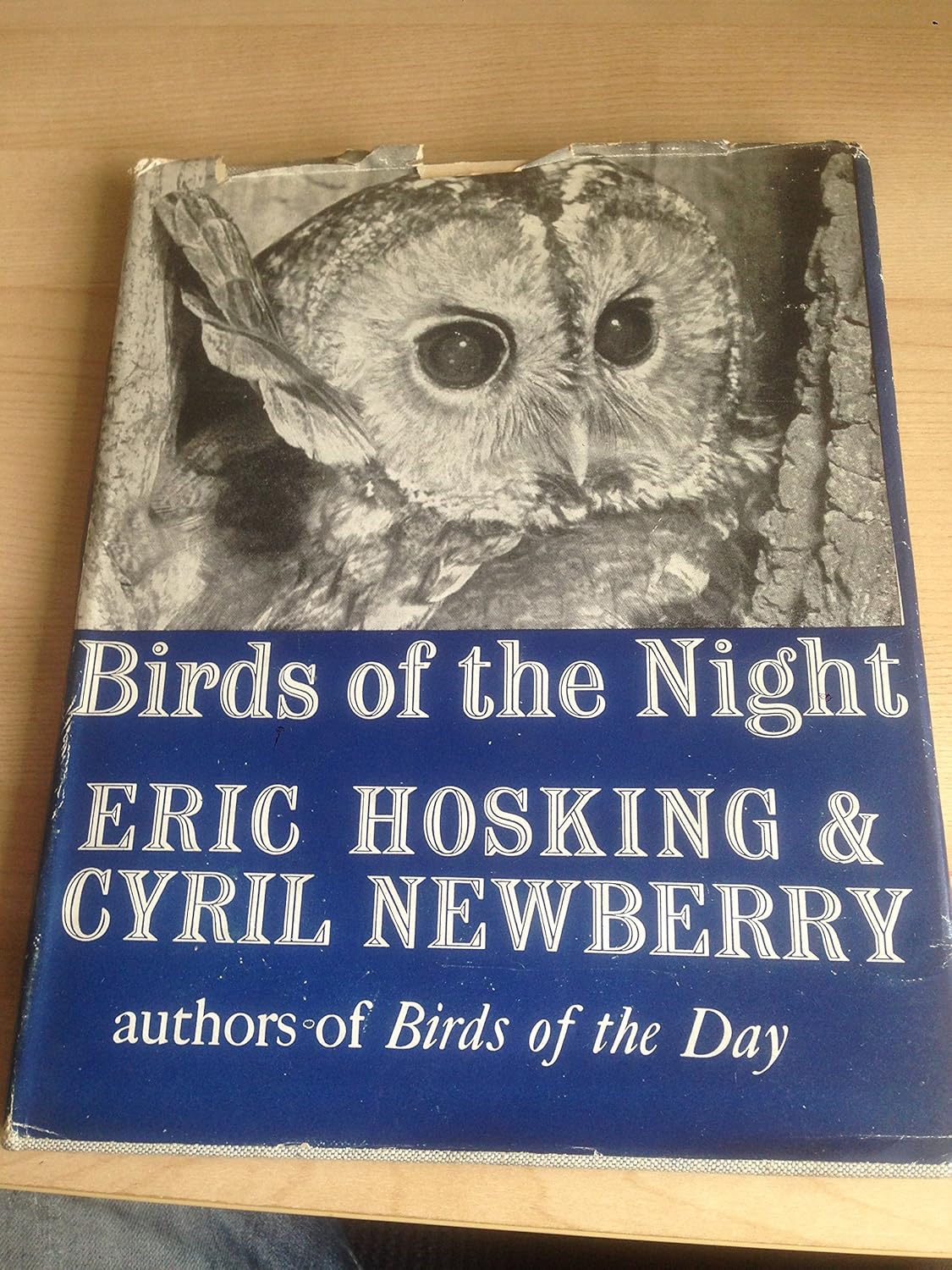 Birds of the Night : Hosking, Eric J & Newberry, Cyril W: Amazon.es: Libros