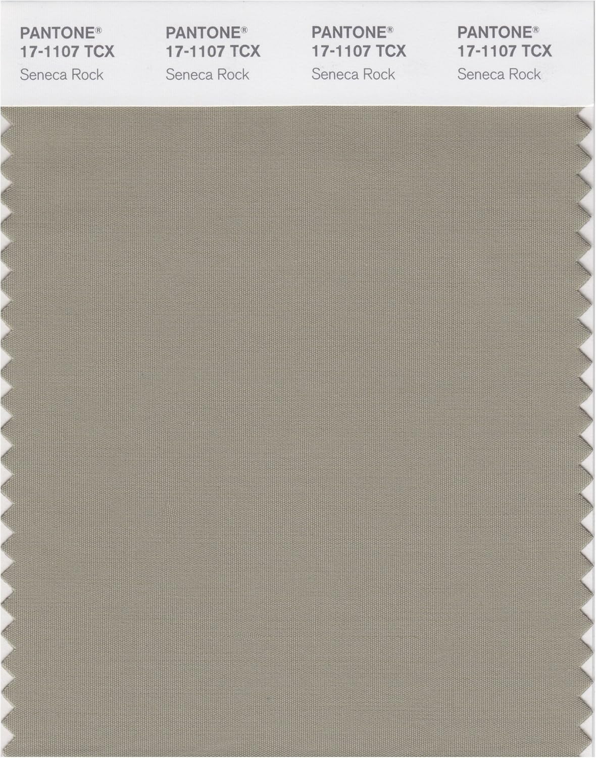 PANTONE Smart 17-1107X Color Swatch Card, Seneca Rock - Wall Decor ...