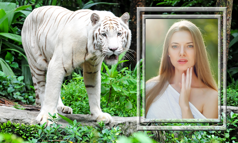 Tiger Photo Frames - App on Amazon Appstore