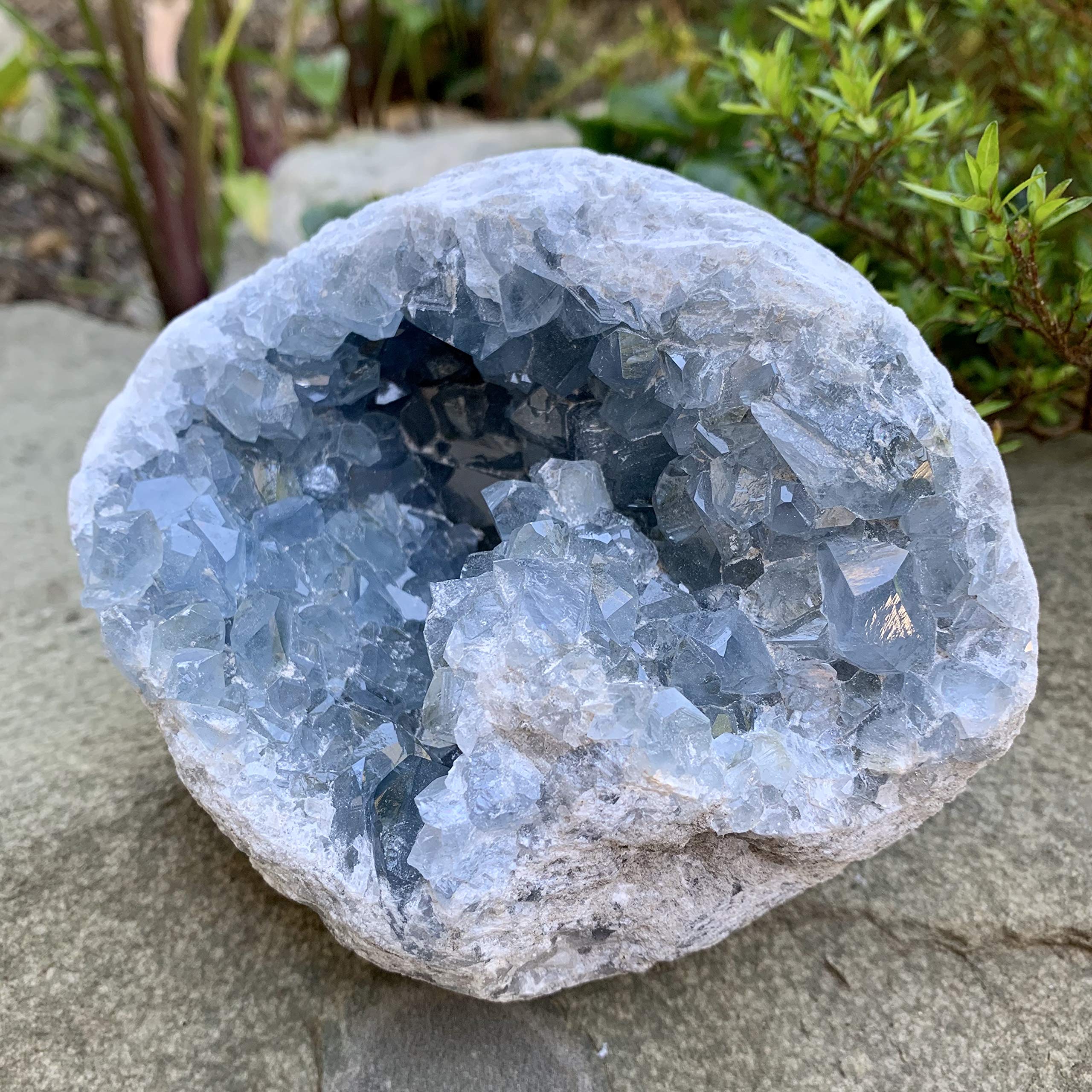 Buy Sparkle Rock Pop Celestine Raw Crystal (Also Known as Celestite ...