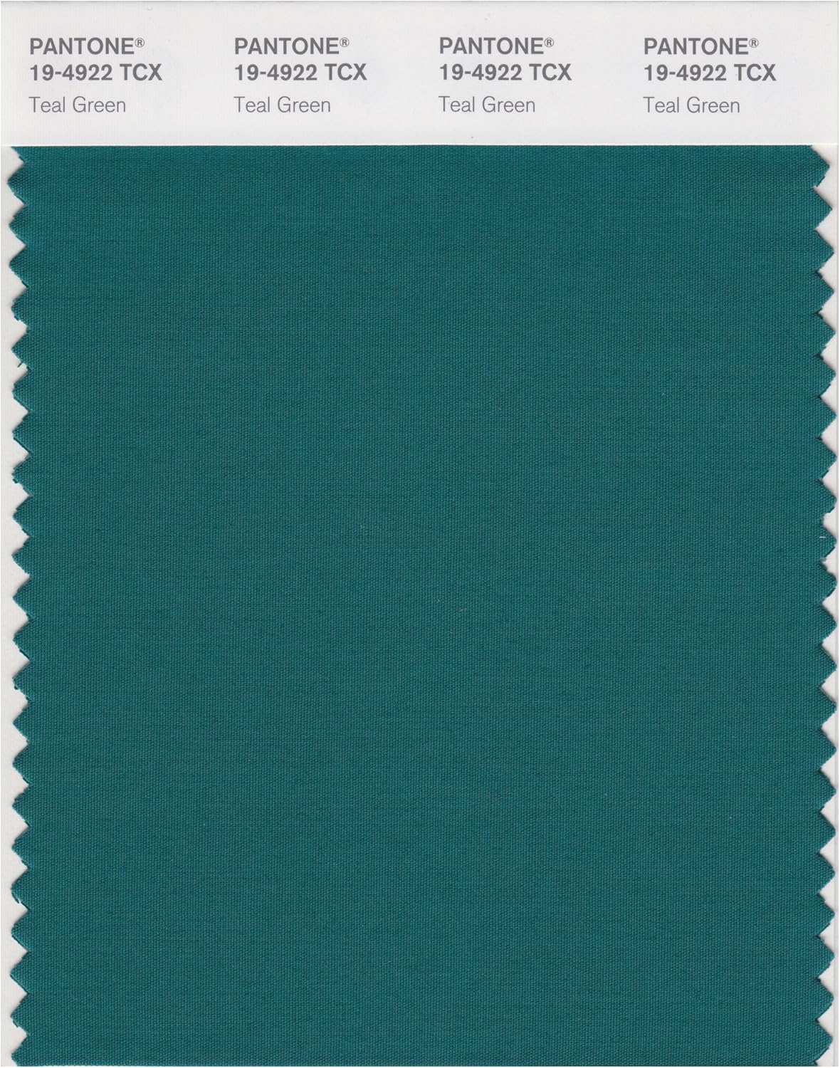 PANTONE SMART 19-4922X Color Swatch Card, Teal Green : Amazon.ca: Home
