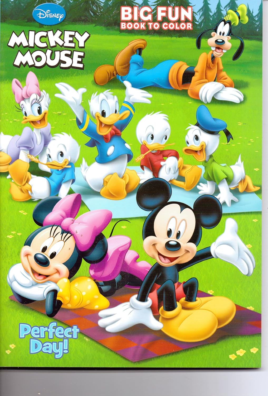 Disney Mickey Mouse Big Fun Book to Color ~ Perfect Day : Amazon.sg: Books