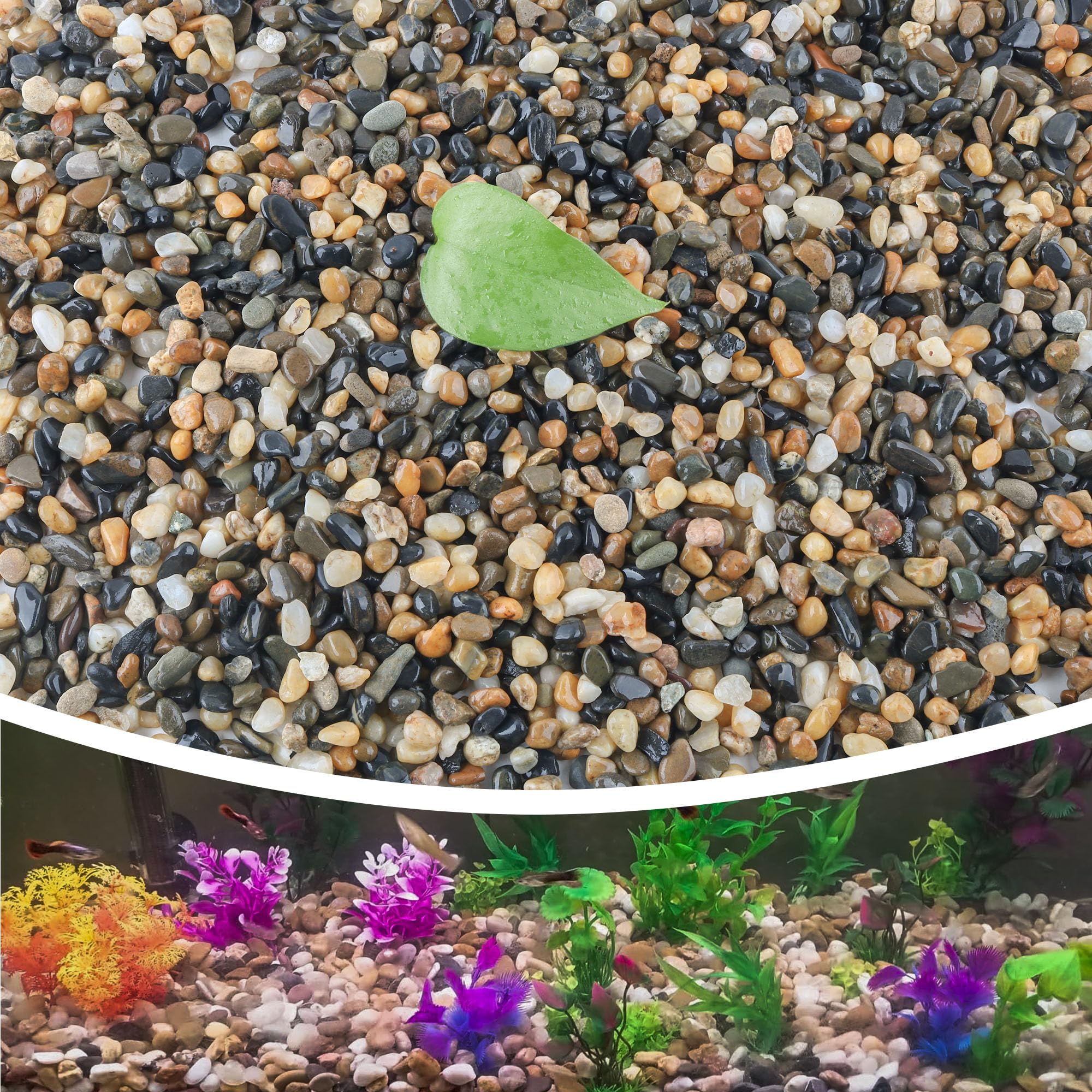 Snapklik.com : 18lb 1/2" Polished Pebbles For Plants Potting