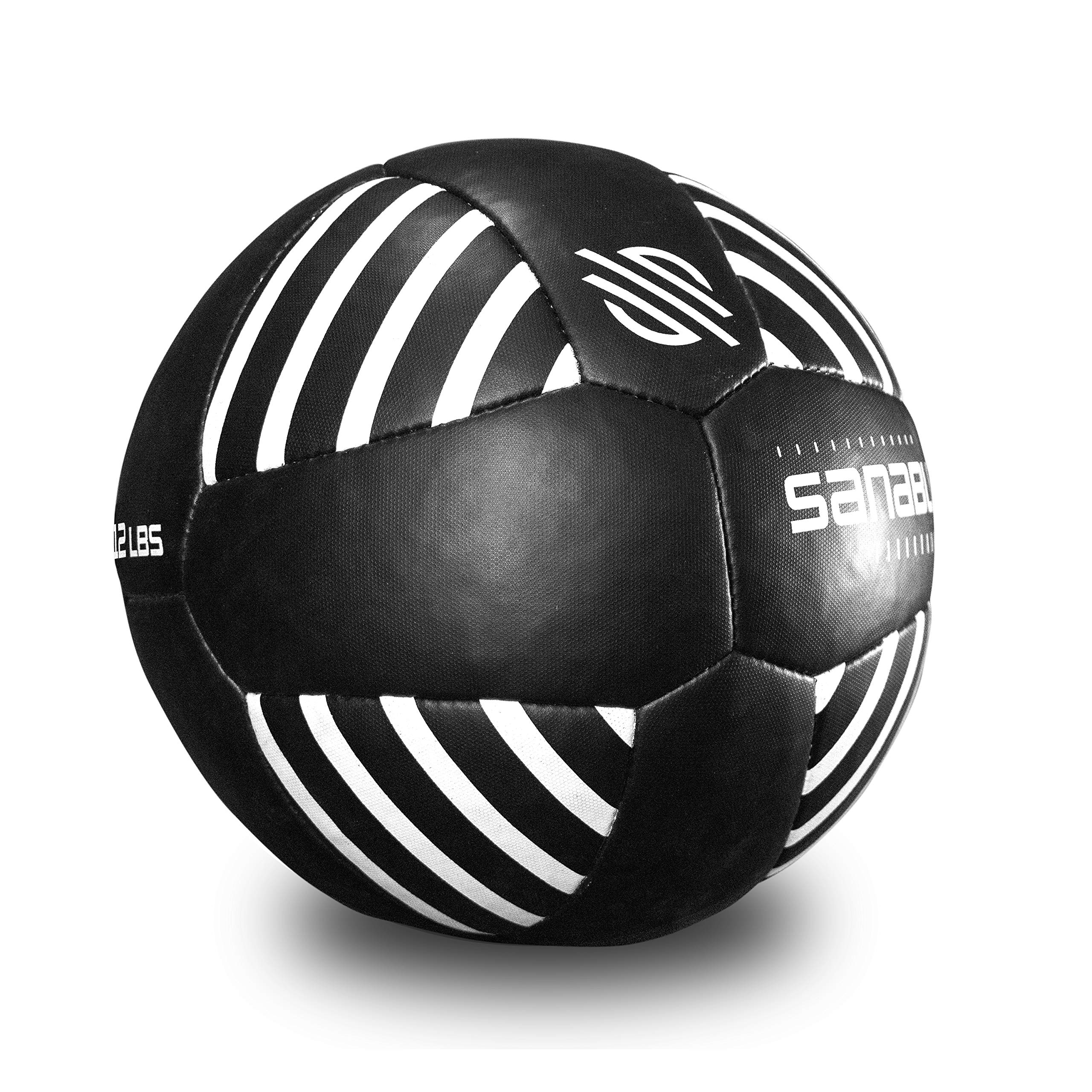 Snapklik.com : Sanabul Lab Series 14-inch Medicine Ball For Exercise ...
