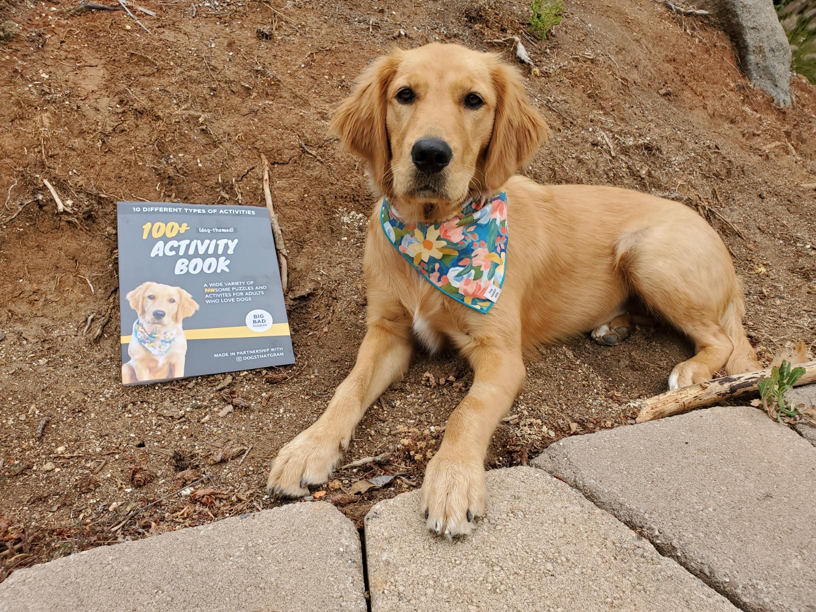 Amazon.com: 100+ Dog-Themed Activity Book: A Wide Variety of PAWsome ...