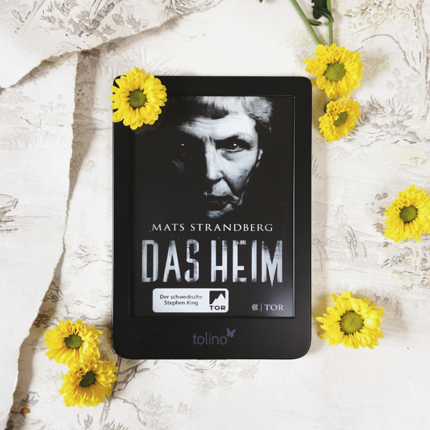 Das Heim: Roman eBook : Strandberg, Mats, Hoyer, Nina: Amazon.de ...