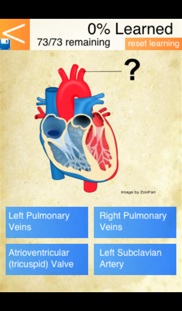 Anatomy Skills - The Circulatory System - App on Amazon Appstore