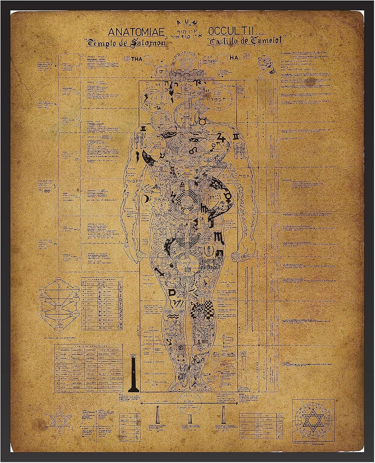 Amazon.com - Poster Master Vintage Occult Anatomy Poster - Retro Human ...