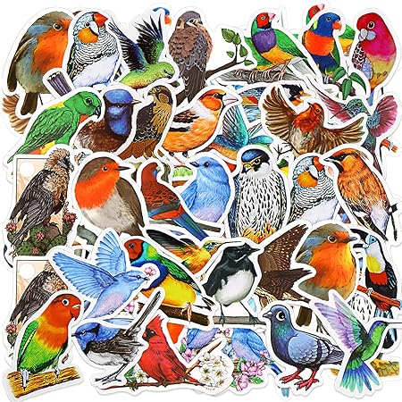 Amazon.com: 200 Pcs Birds Stickers Cute Animals Stickers Cartoon Birds ...