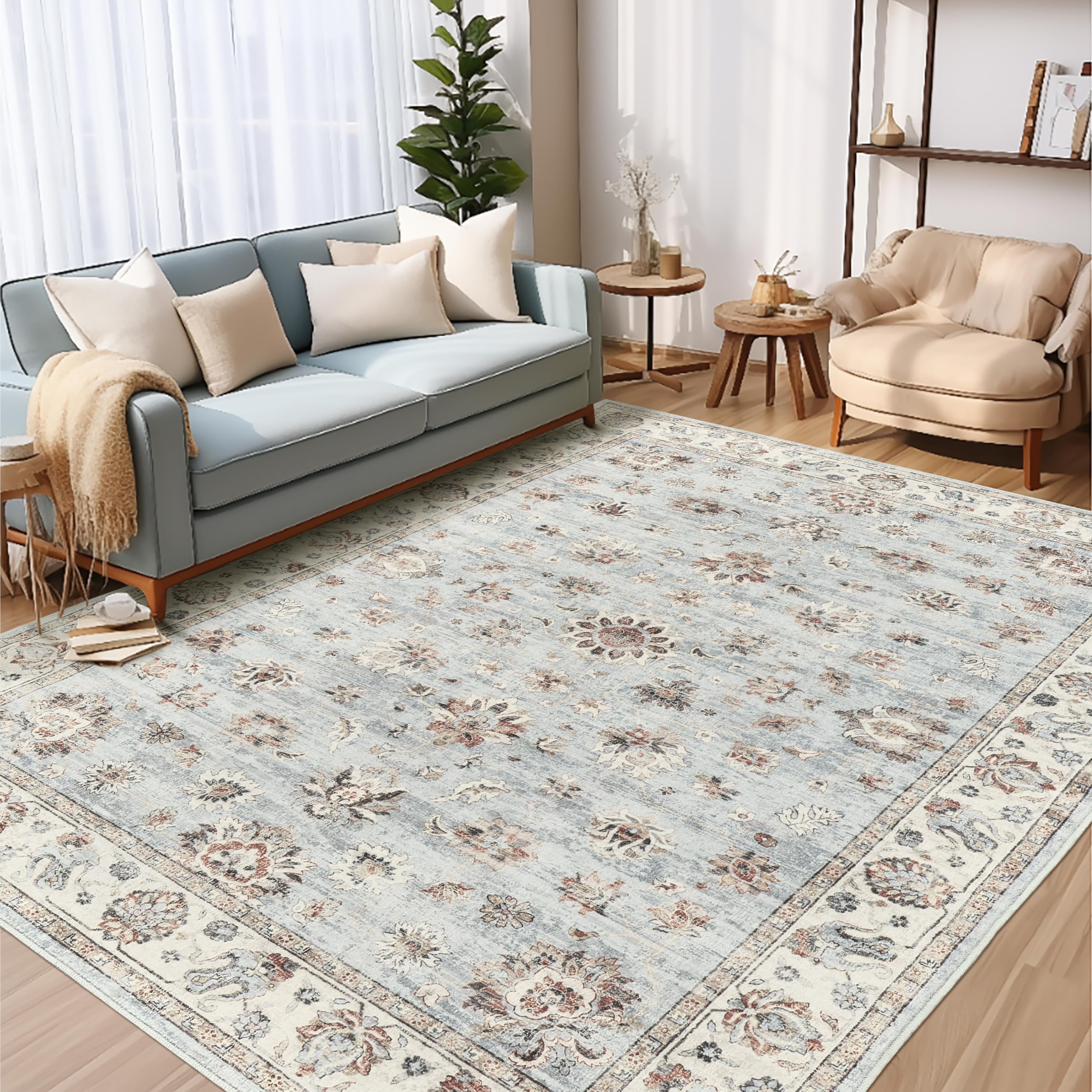 Amazon.com: Cochyean Rugs for Living Room, 5x7 Area Rugs, Machine ...