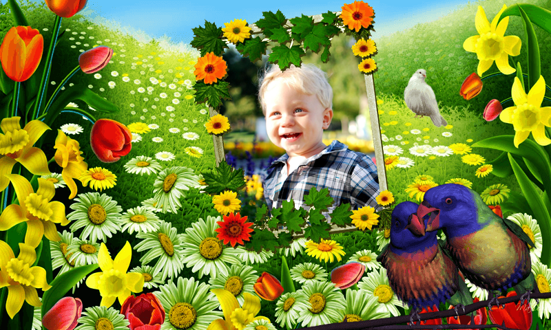 Flower Frames Photo Editor:Amazon.de:Appstore for Android