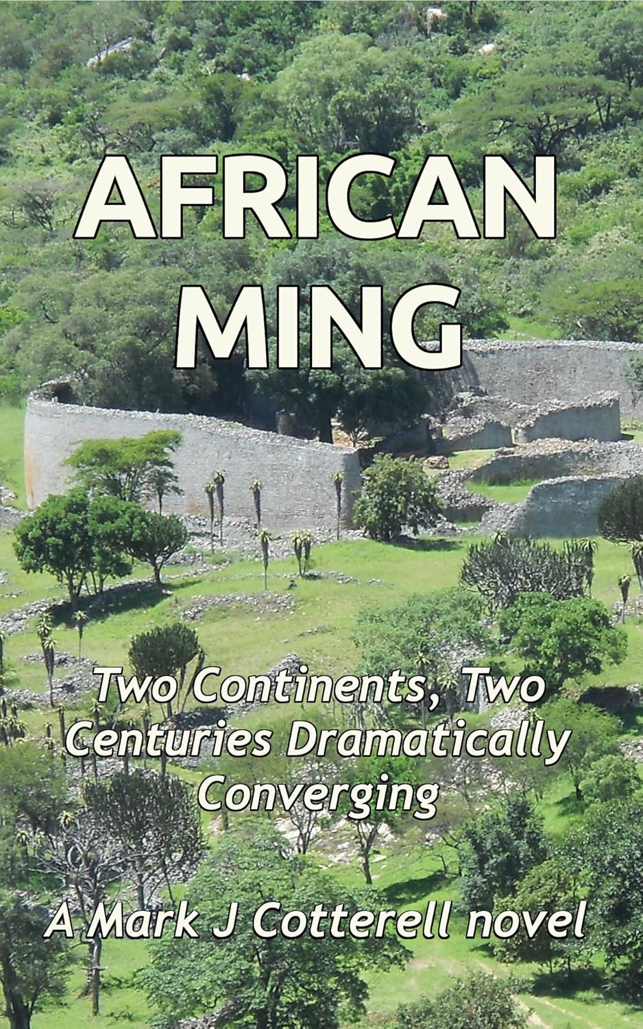 African Ming: Two Continents, Two Centuries Dramatically Converging ...