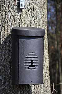 Bat Large Flat Box 3FF with Inspection Hatch : Amazon.co.uk: Garden