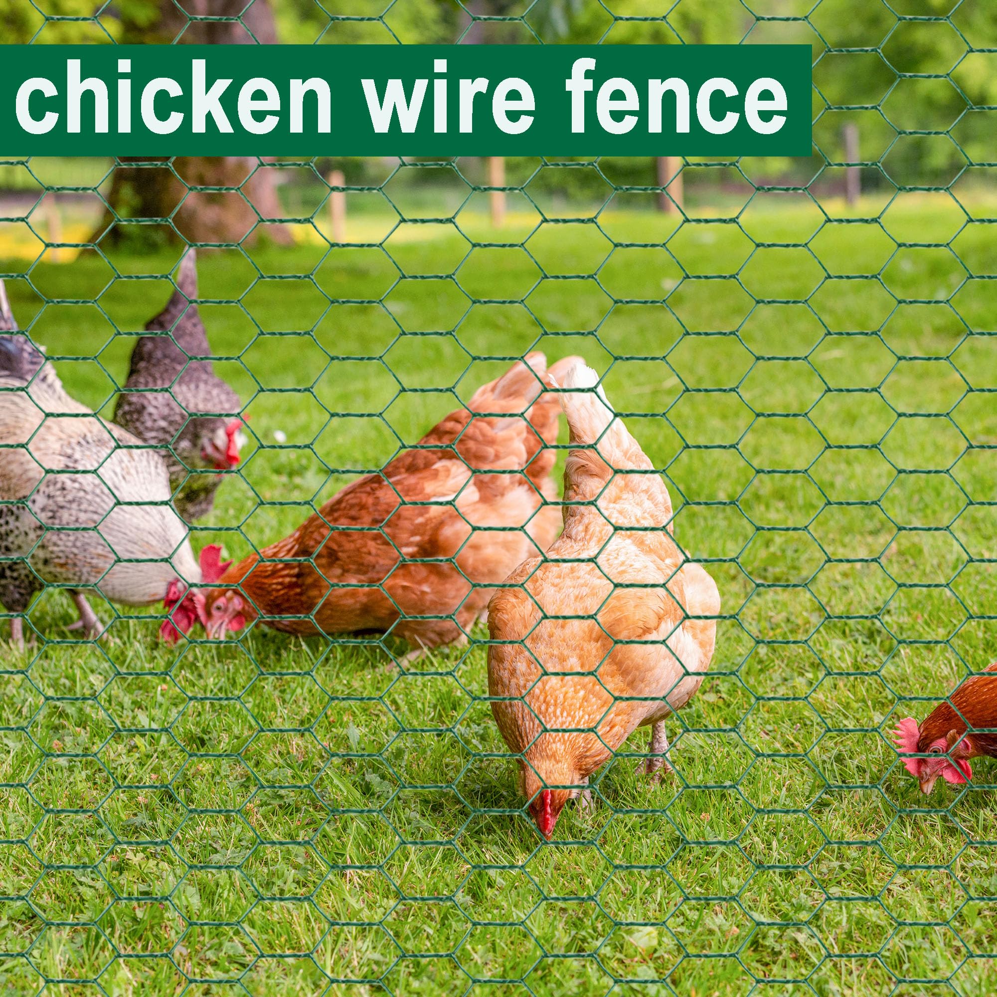 Green Chicken Wire Fencing