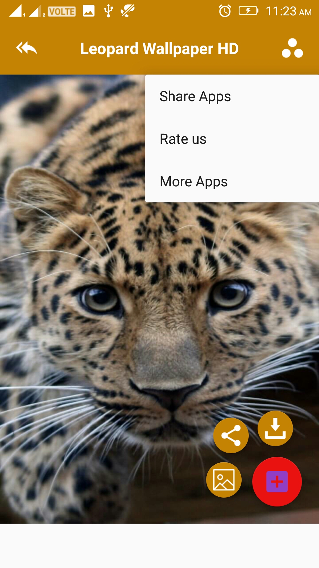 Leopard 4K Wallpaper - App on Amazon Appstore