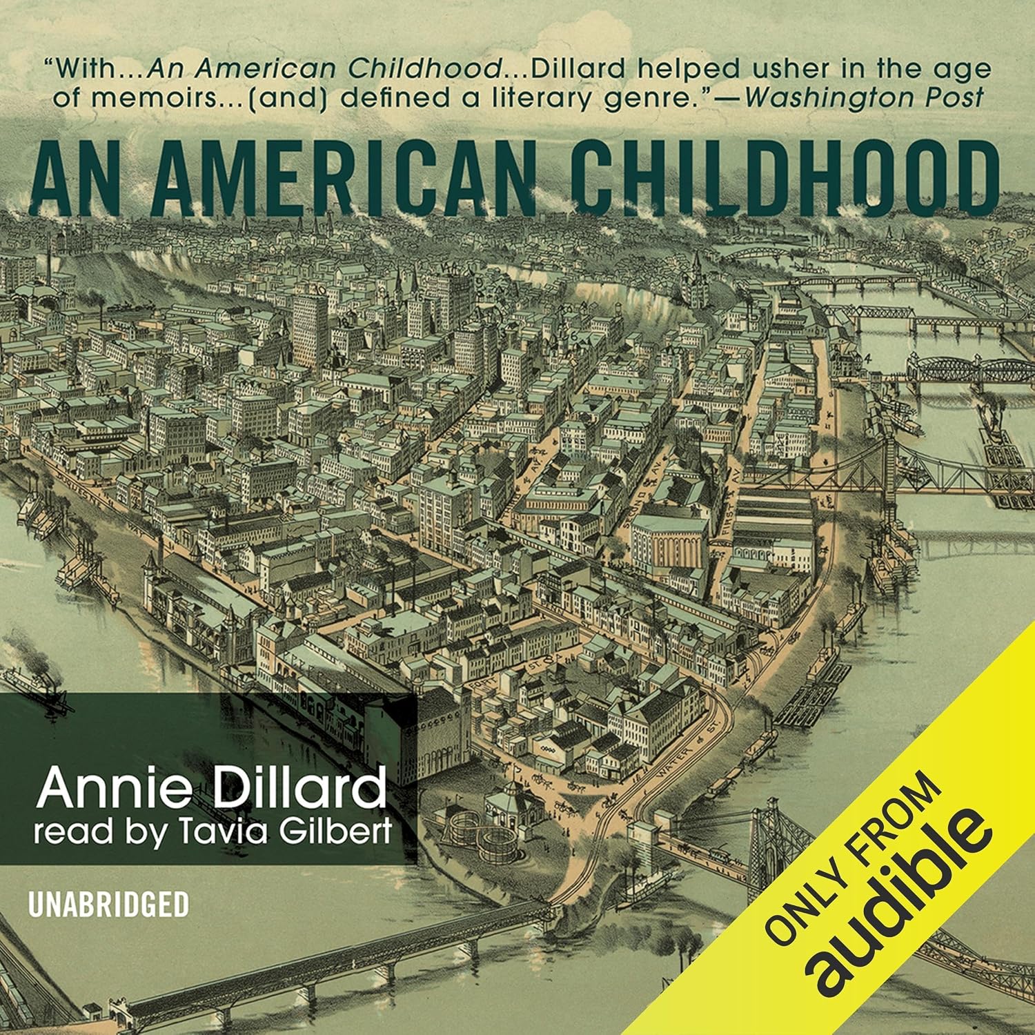 Amazon.com: An American Childhood (Audible Audio Edition): Annie ...