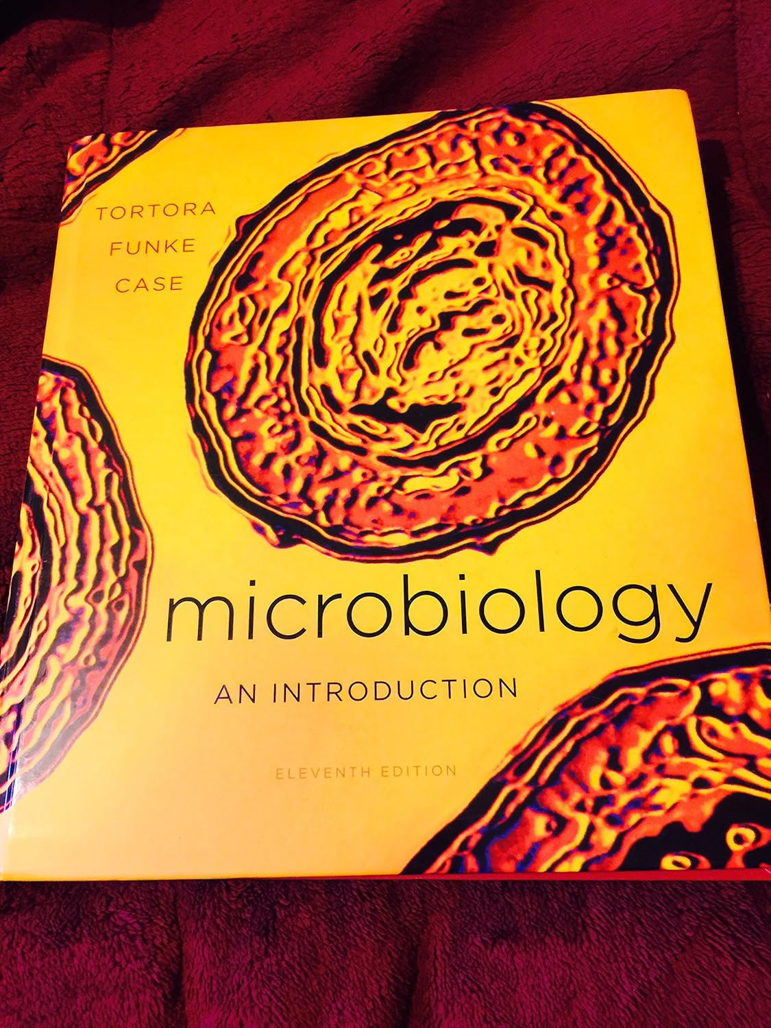 Microbiology: An Introduction: Tortora, Gerard J., Funke, Berdell R ...