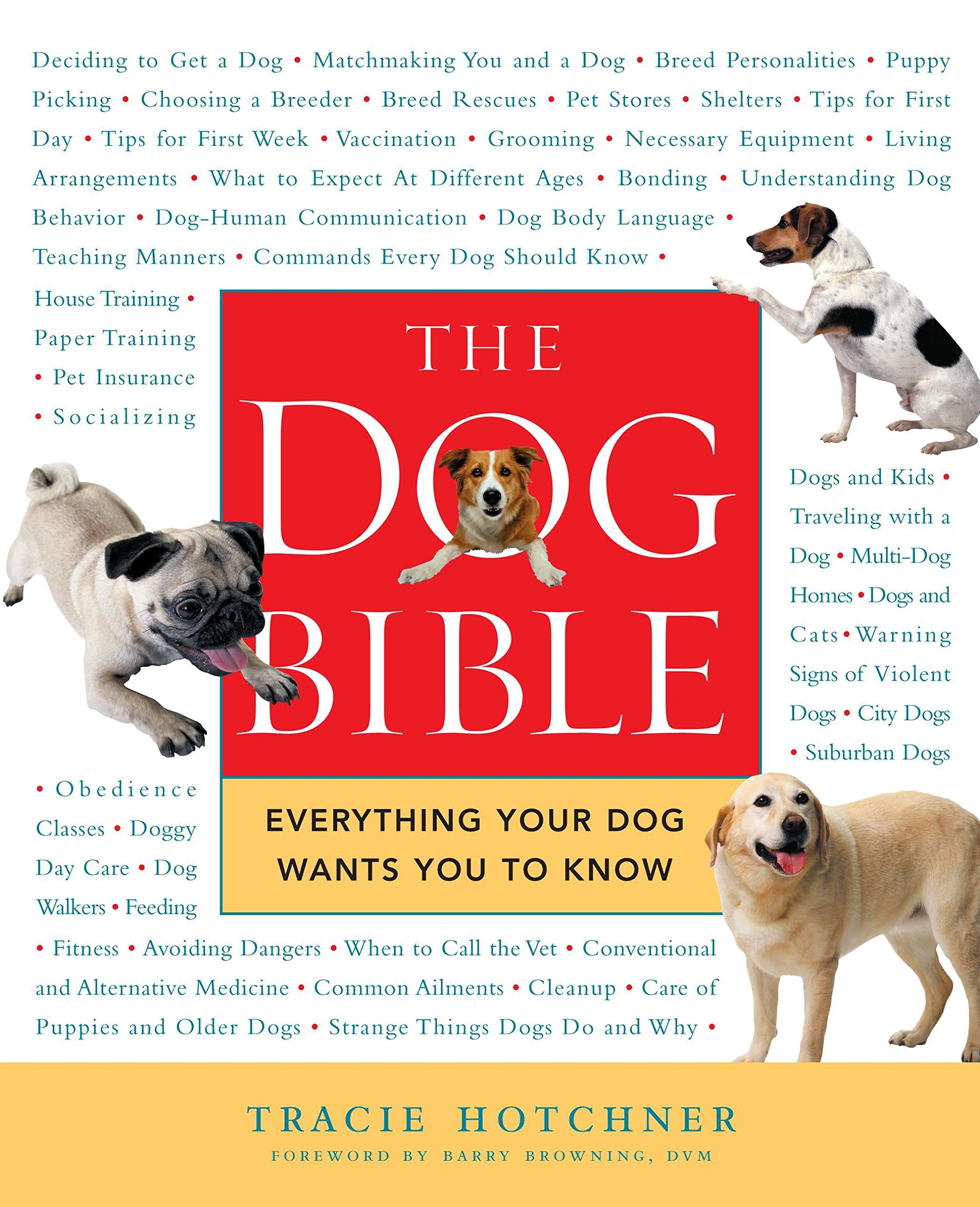 Who Are The Dogs In The Bible