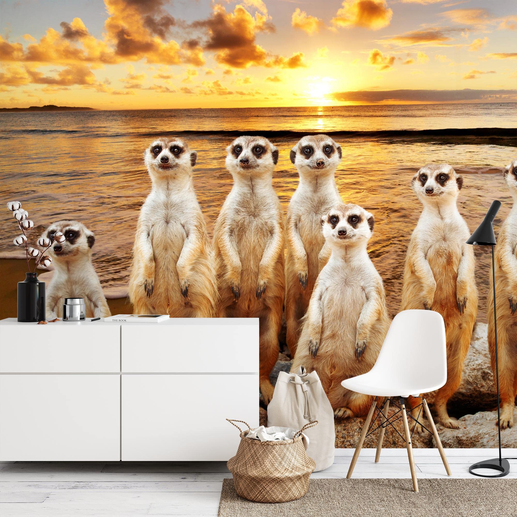 Meerkat Wallpaper Background