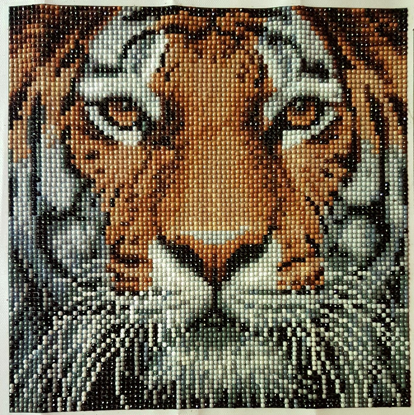 DIY 5D Diamond Painting by Number Kits, Full Drill Crystal Rhinestone ...
