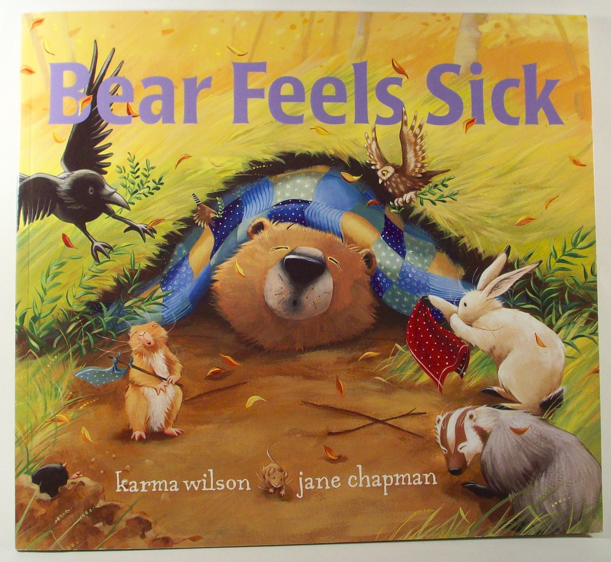 Bear Feels Sick: Wilson, Karma; Chapman, Jane: 9780545107372: Amazon ...